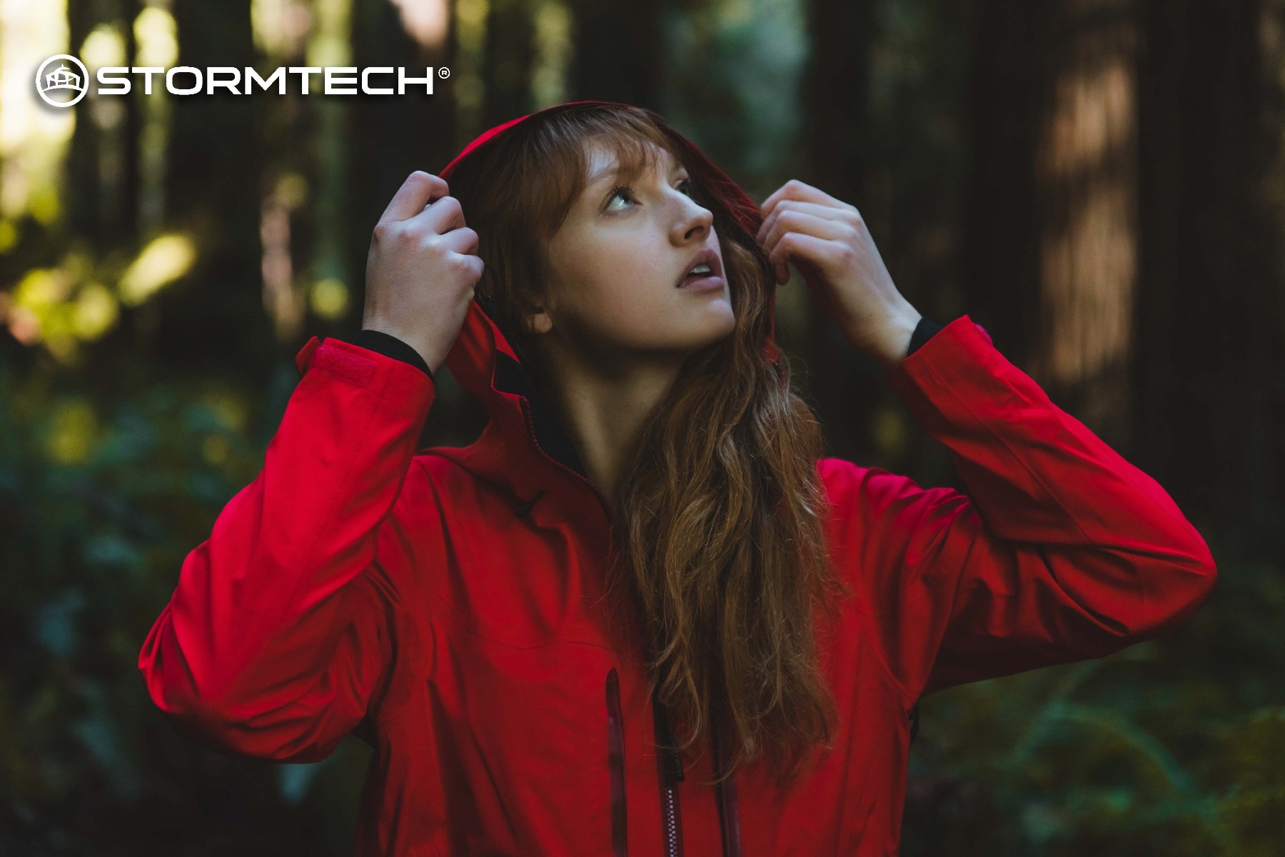 Home Page [legendlife.co.nz]